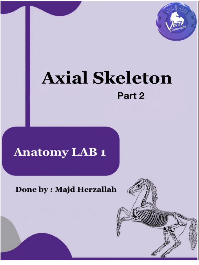 LAB4 Part 2 Axial Skeleton Pt2 - Comparative | PDF | Vertebra | Skeletal System