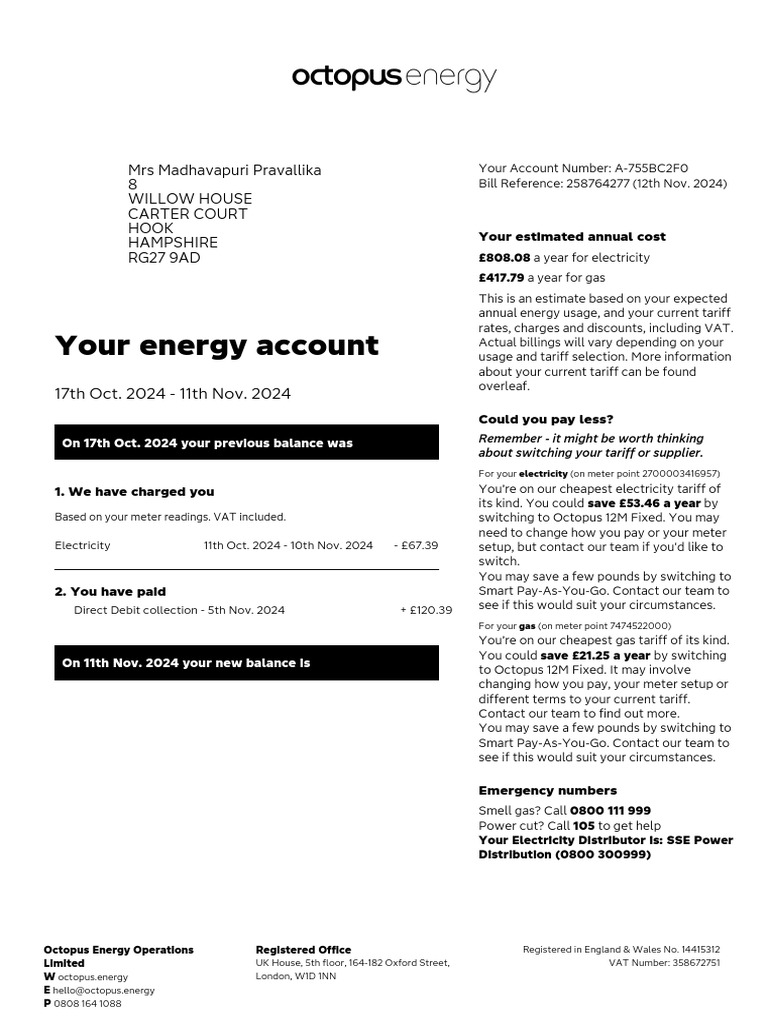 Octopus Energy Statement 2024-11-11 | PDF
