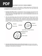 VitalStim Electrode Placement Guide | PDF | Morphology (Biology) | Soft ...