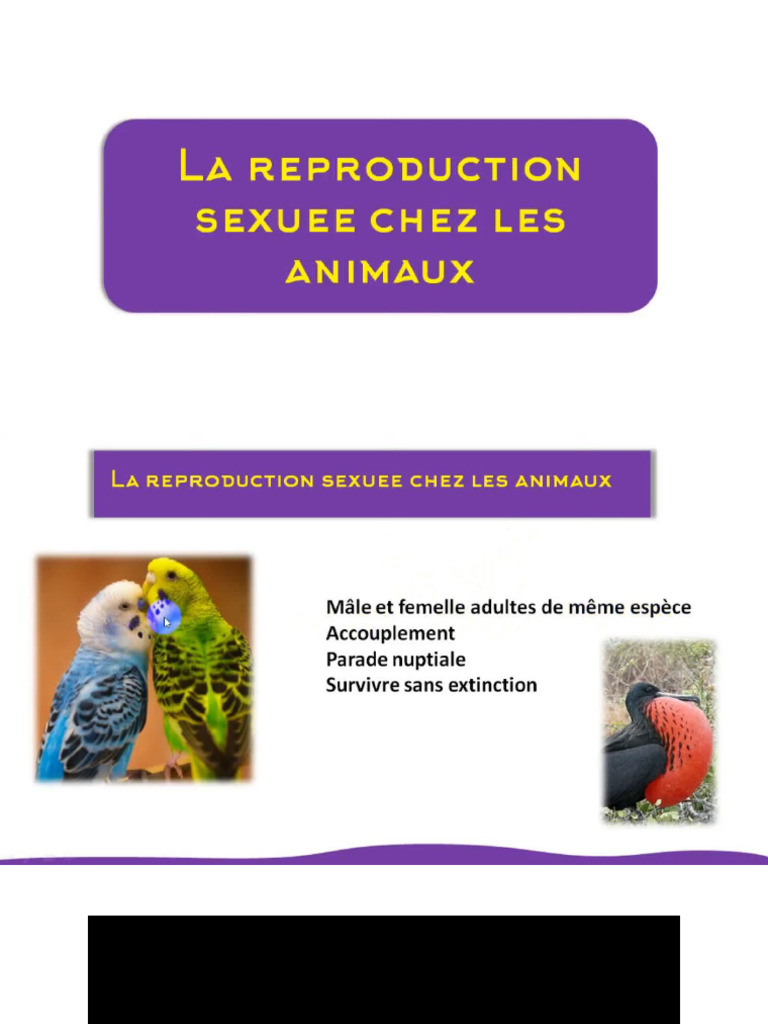 La Reproduction Sexuée Chez Les Animaux | PDF