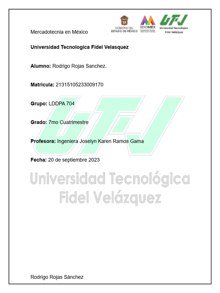 Investigacion Mercadotecnia RRS | PDF | Marketing | México