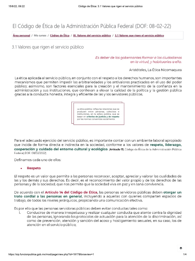Código de Ética - 3.1 Valores Que Rigen El Servicio Público | PDF