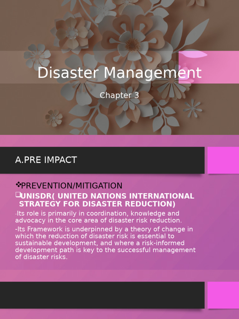 Disaster Management Preparedness Guide | PDF | Emergency Management