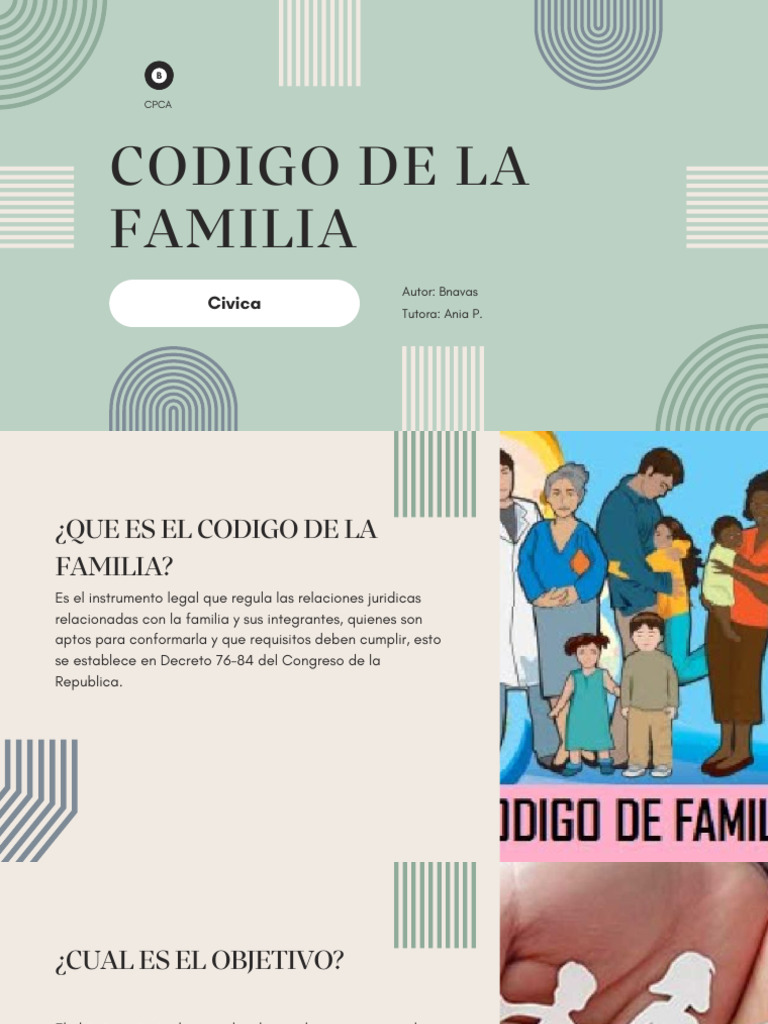 Código de la Familia 2025: Protección y Derechos | PDF