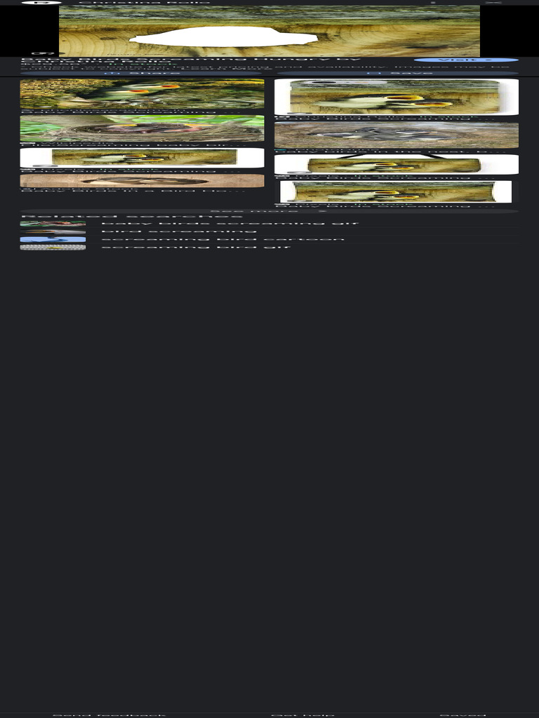 Baby Birds Screaming - Google Search | PDF