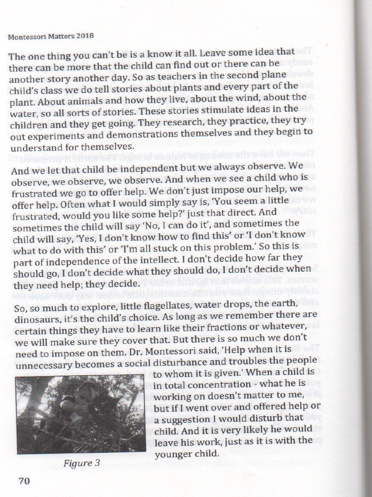 Exploring Independence and Interdependence - Carol Hicks PG 18 | PDF
