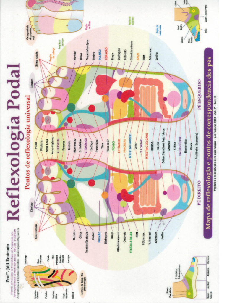 Mapa Reflexologia Podal - 250121 - 215625 2 | PDF