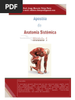 Aula 1 - Planos e Eixos | PDF | Anatomia | Corpo humano