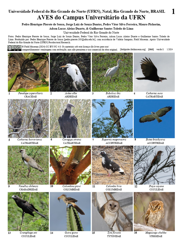 1643_BRAZIL_AVES do Campus da UFRN | PDF | Aves | Pássaros holárticos