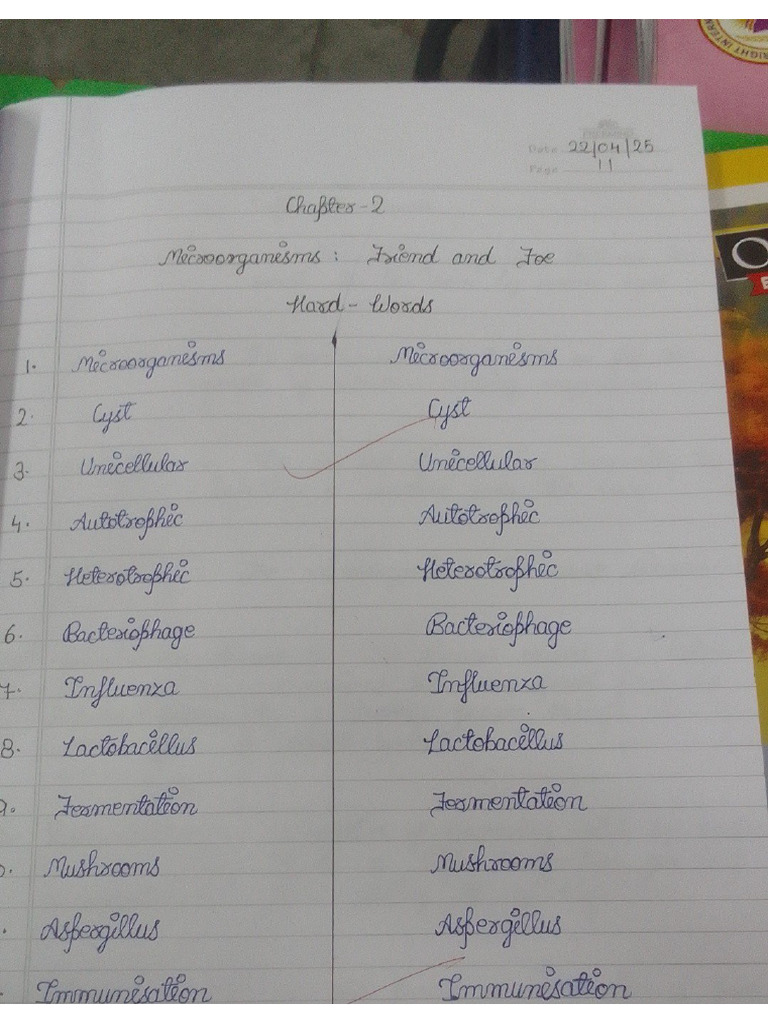 Science Class 8 | PDF