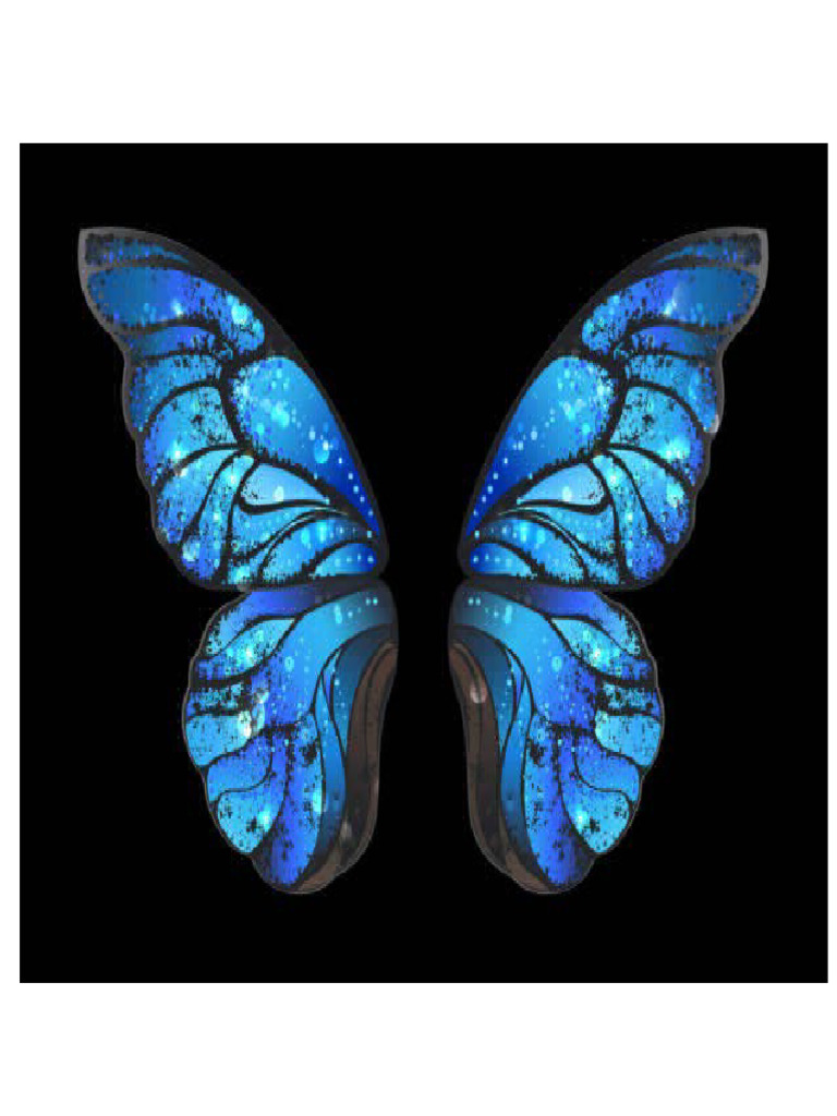 Documento (1) (2) | PDF