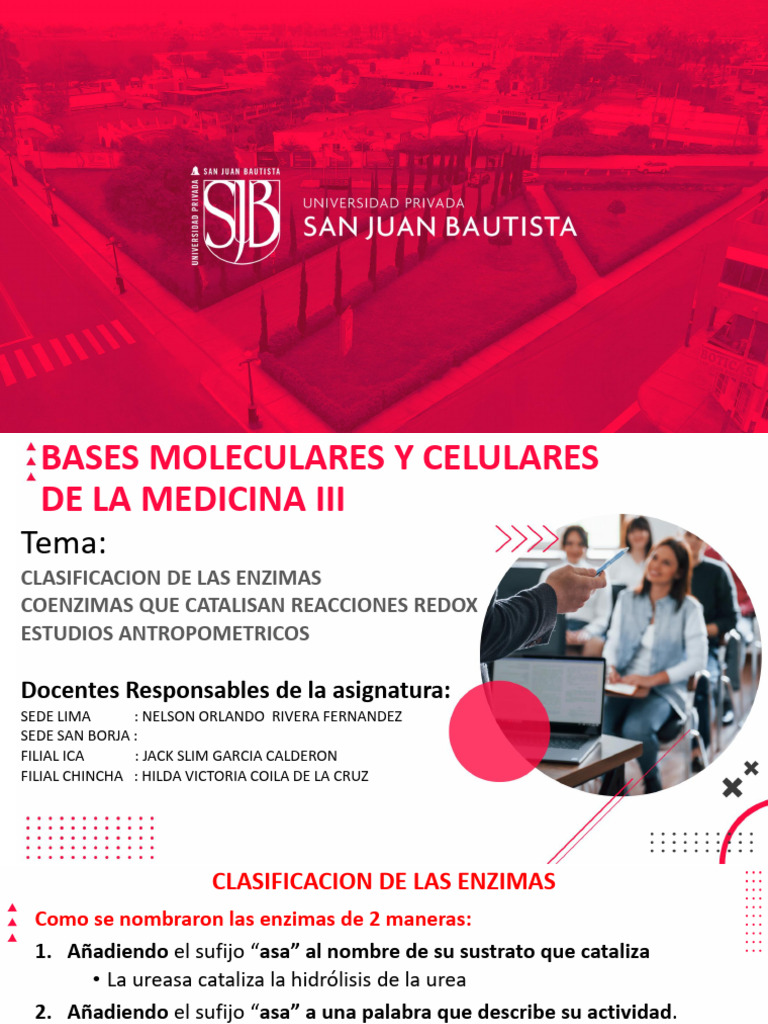 4.2 Clasificación Enzimática | PDF | Enzima | Trifosfato de adenosina