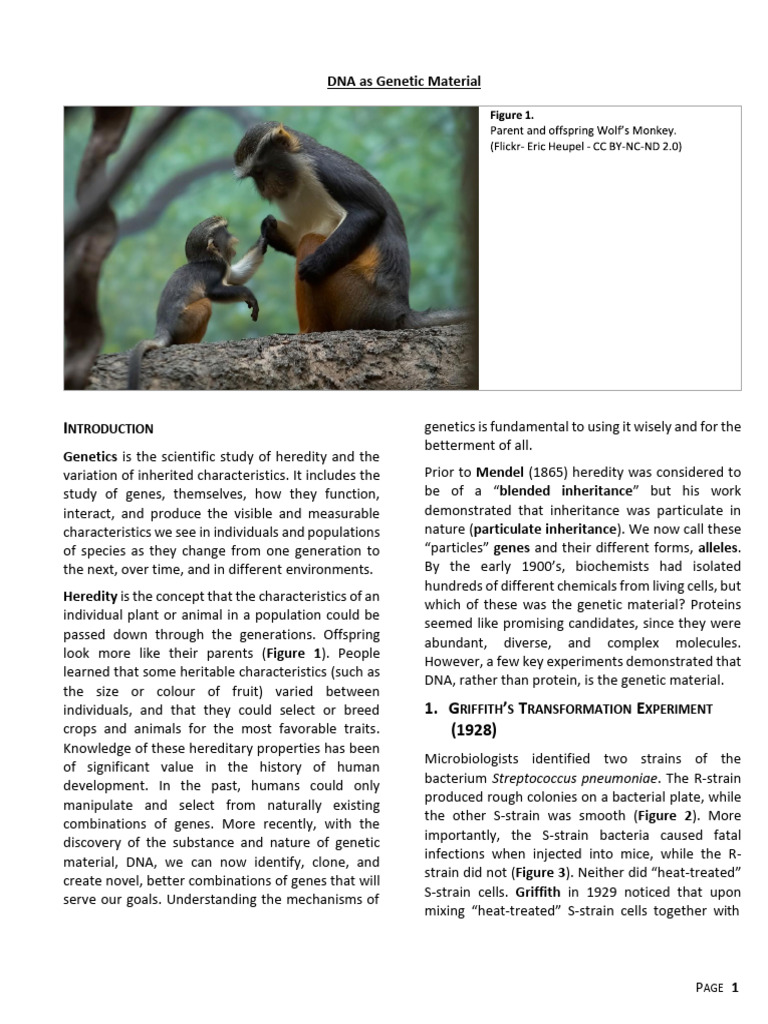 DNA as Genetic Material in T2 Phage | PDF | Heredity | Genetics