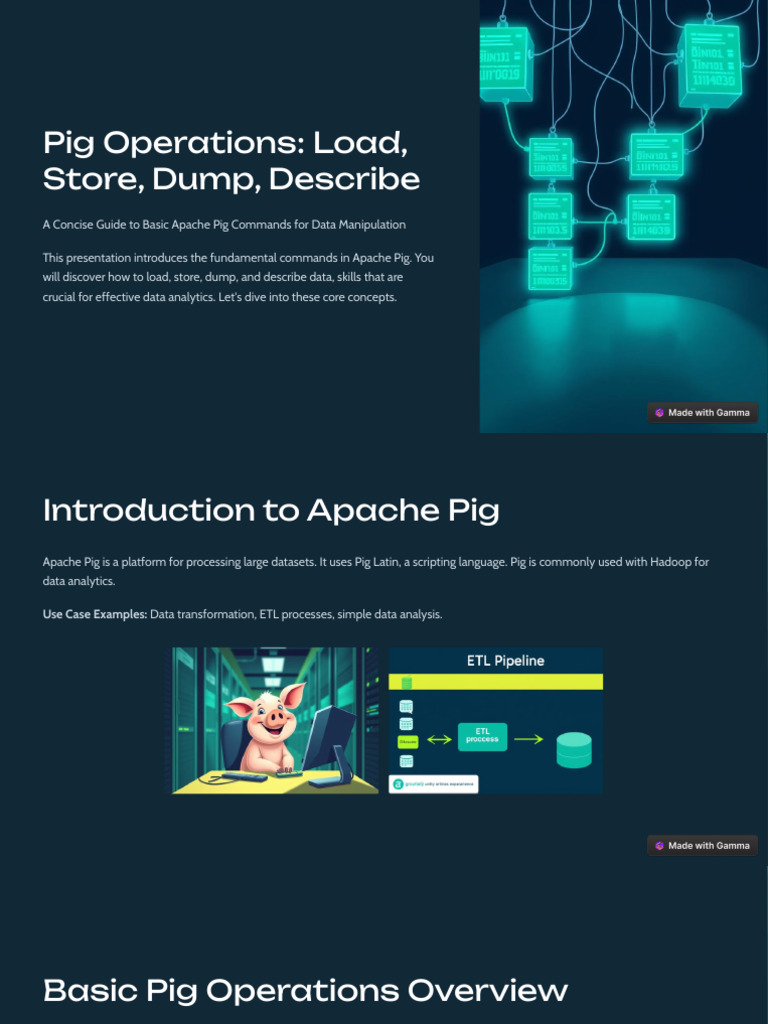 Pig-Operations-Load-Store-Dump-Describe | PDF | Command Line Interface | Apache Hadoop