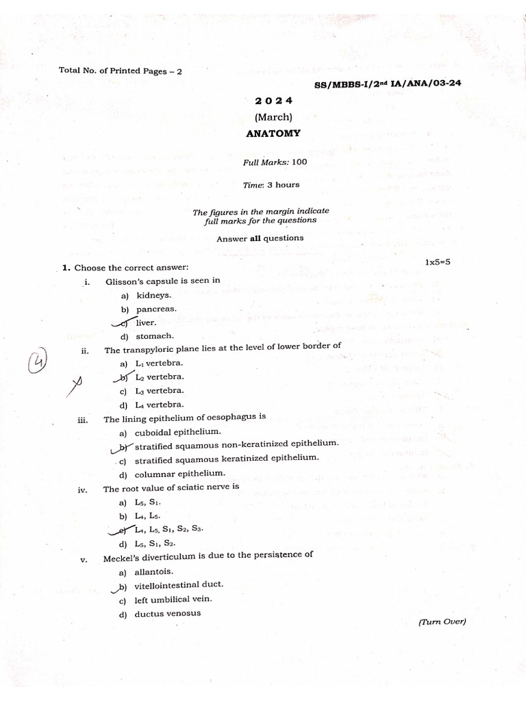 2nd IA Paper 2024 | PDF