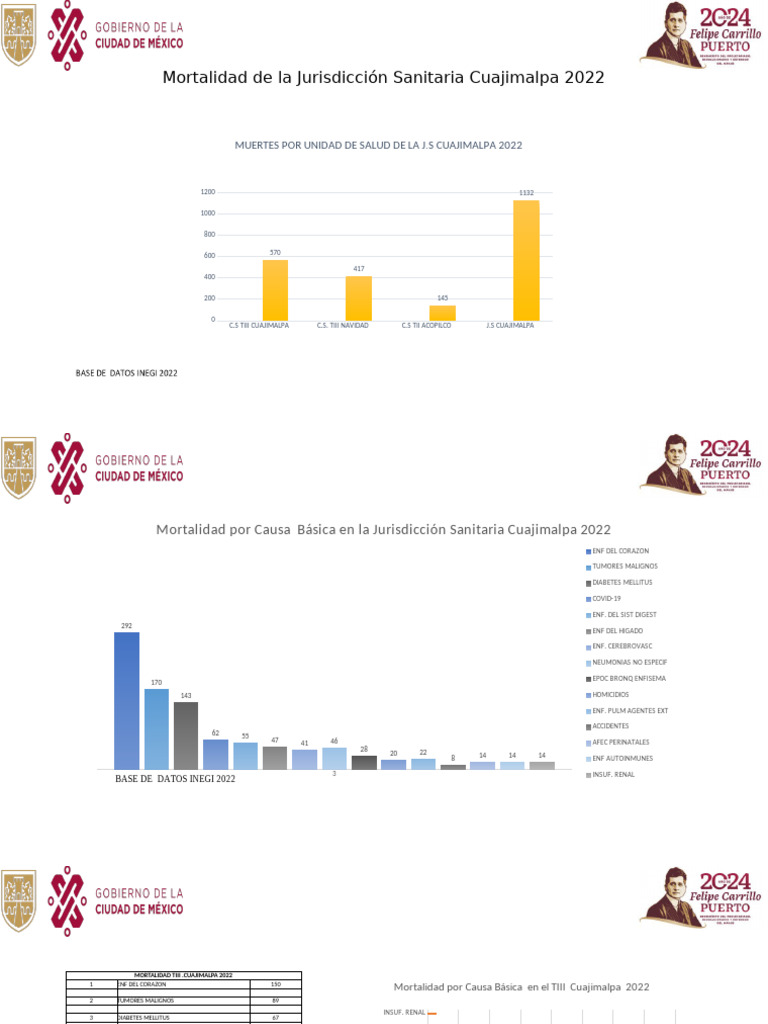 Mortalidad de La JSC 2022 | PDF | Especialidades Medicas | Enfermedades y trastornos