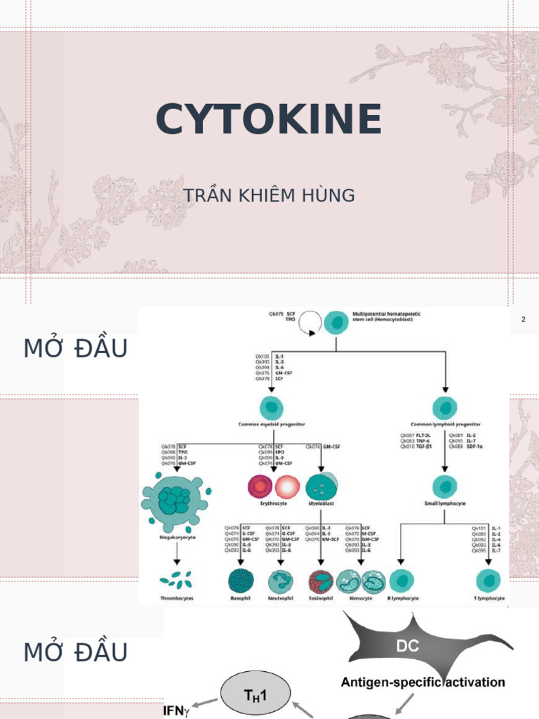 CYTOKINE | PDF
