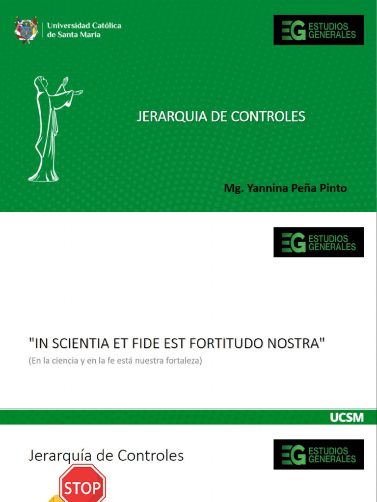 Jerarquía de Controles | PDF