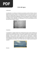 Ciclo Del Agua - Sopa de Letras | PDF
