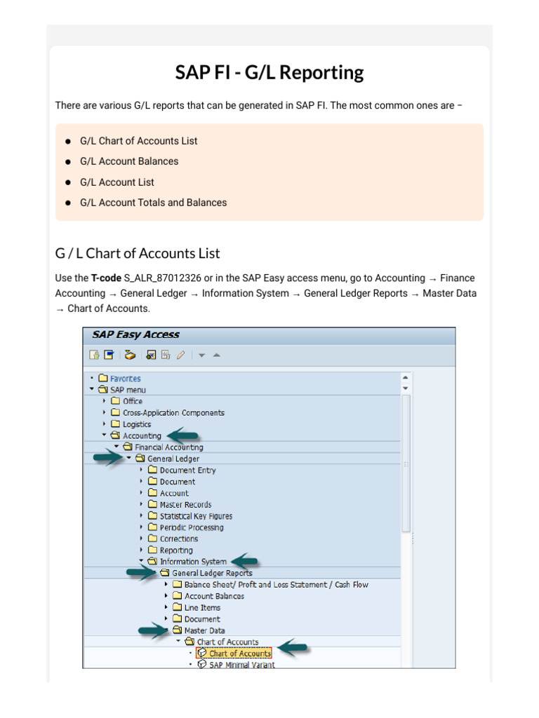 SAP FI G/L Reporting Overview | PDF