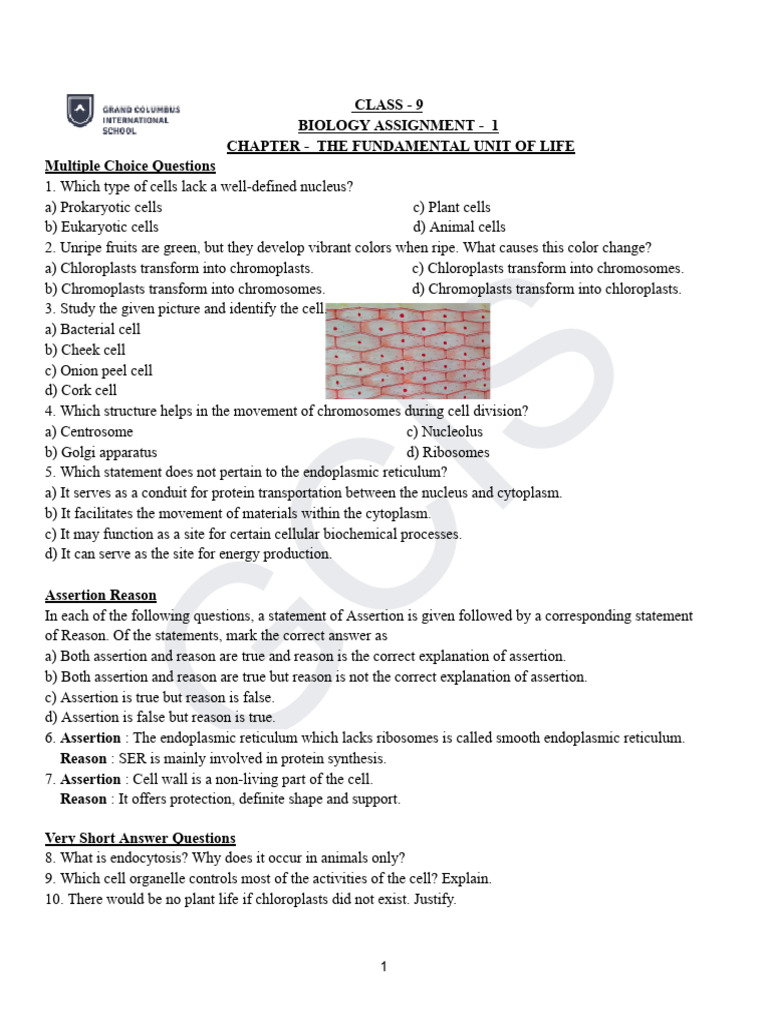 Class 9 Biology: Cell Structure Quiz | PDF | Cell (Biology ...