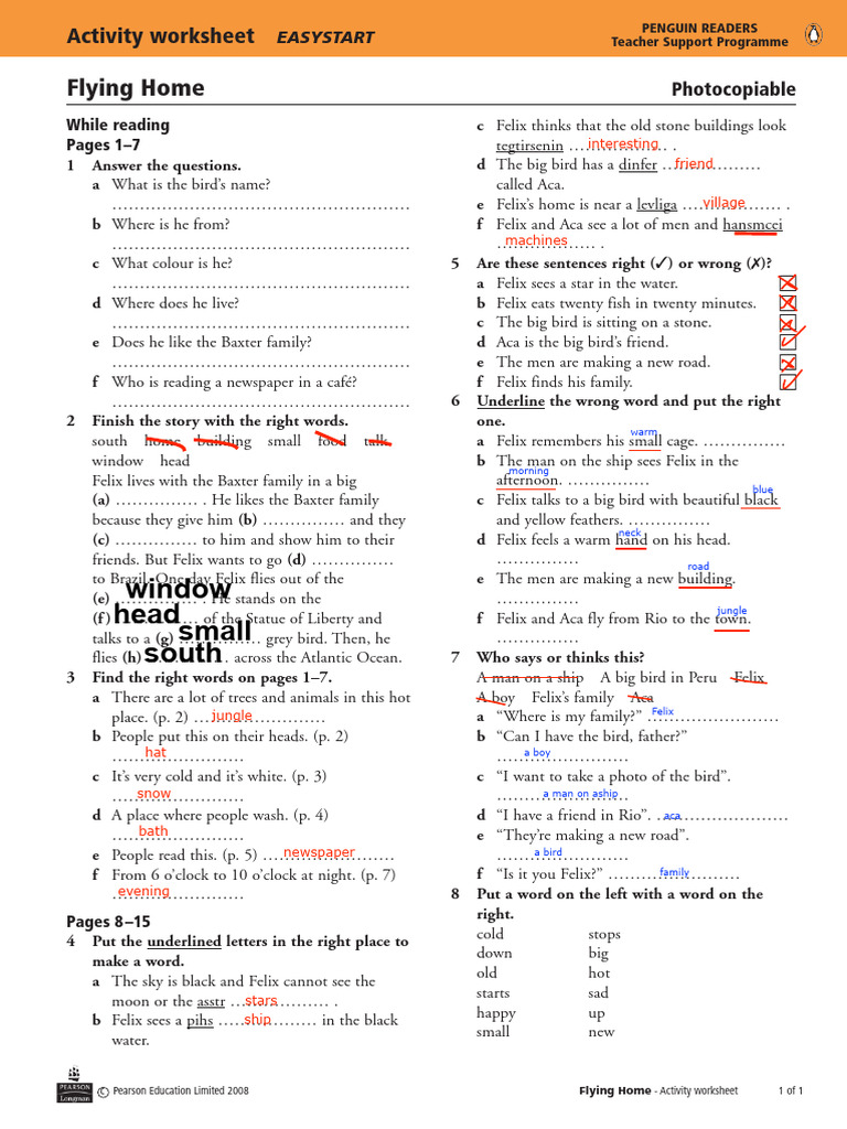 Flying Home Activity Worksheet | PDF