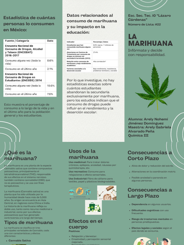 Tríptico de La Marihuana, Química..pdf | PDF | Cannabis (Droga) | Drogas Psicoactivas