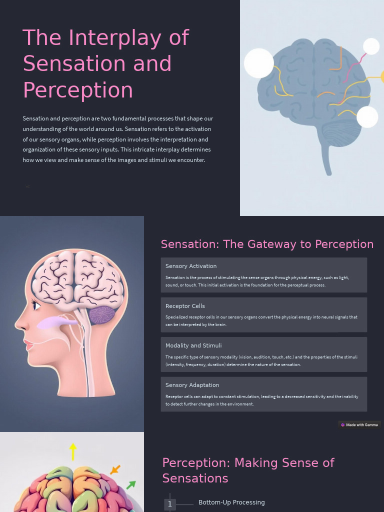 The Interplay of Sensation and Perception | PDF | Perception | Senses