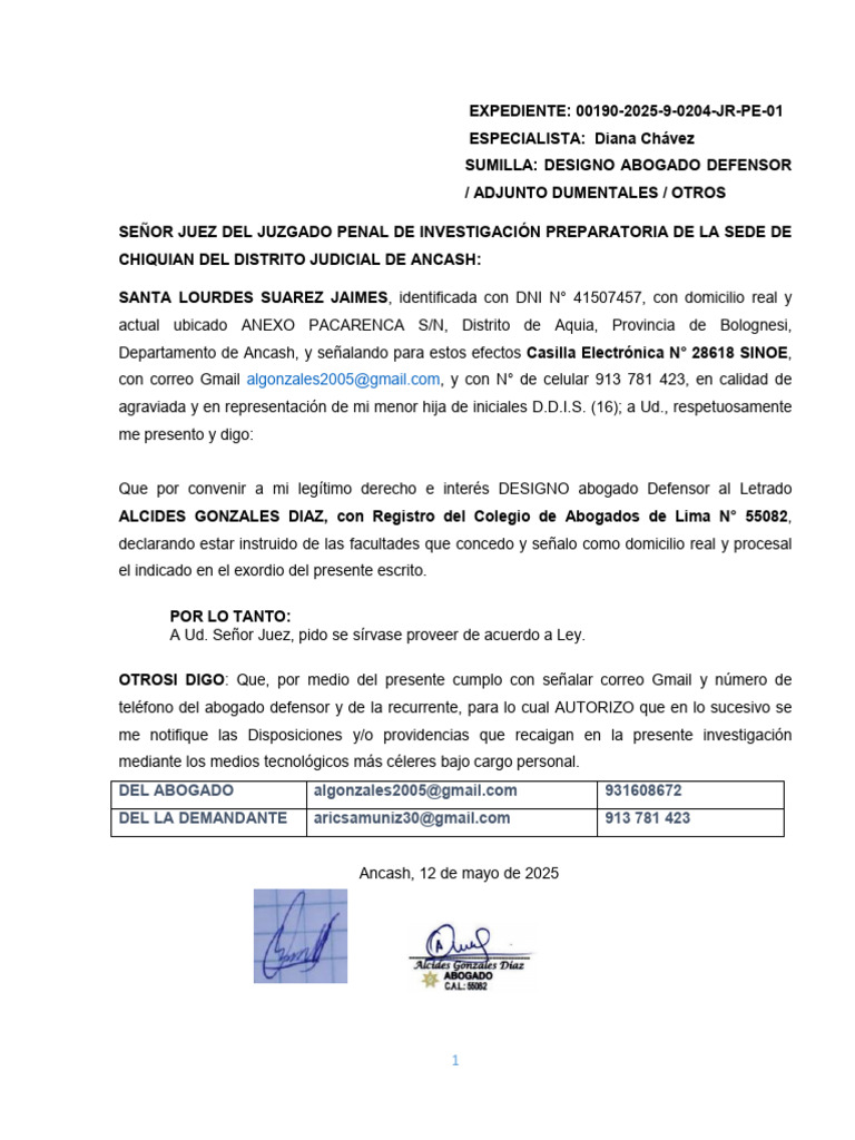 Designo Abodado Defensor - Otros Jip | PDF