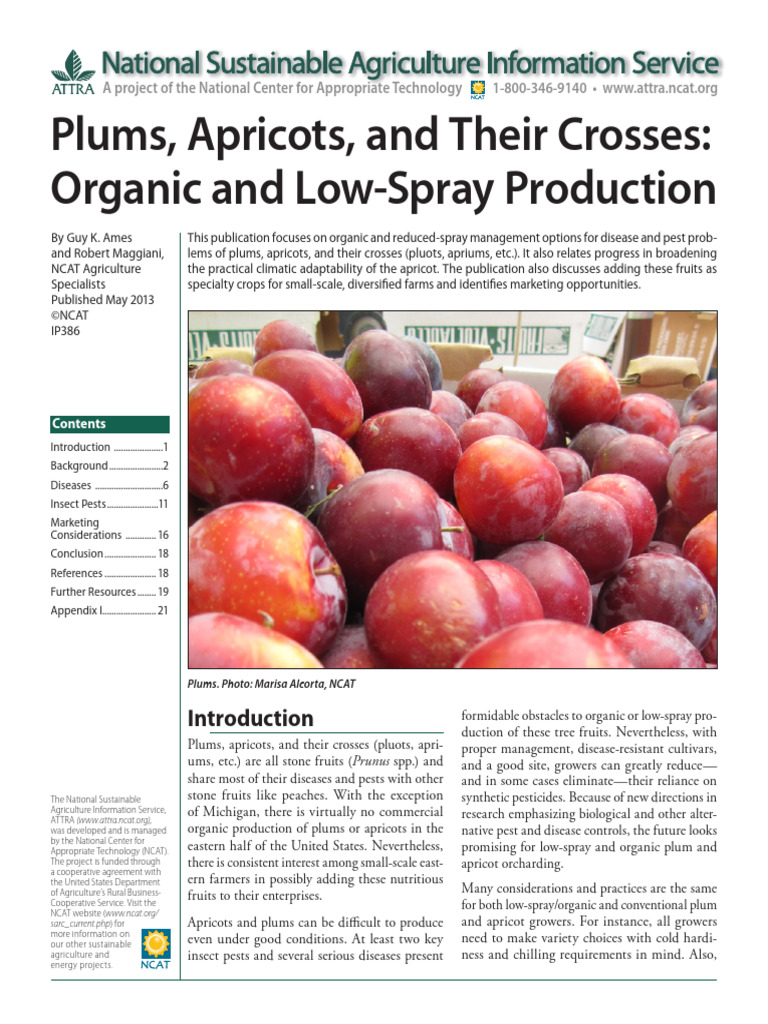 plums (1) | PDF | Plum | Apricot