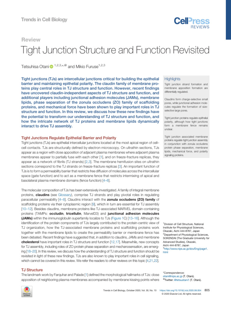 Tight Junction Structure and Function Revisited | PDF | Cell Membrane ...