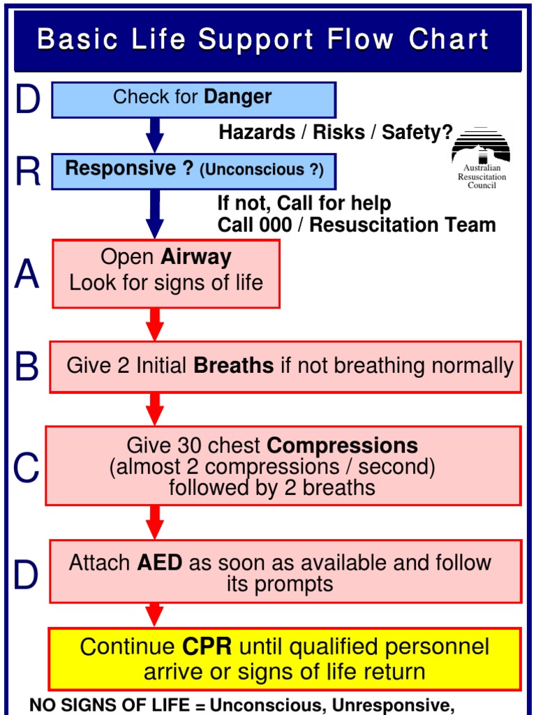 2011 BLS Flowchart Arc - Basic - Life - Support 2011 | PDF | Emergency ...