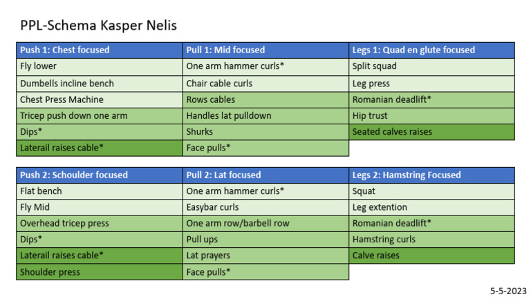 PPL-Schema Kasper Nelis | PDF