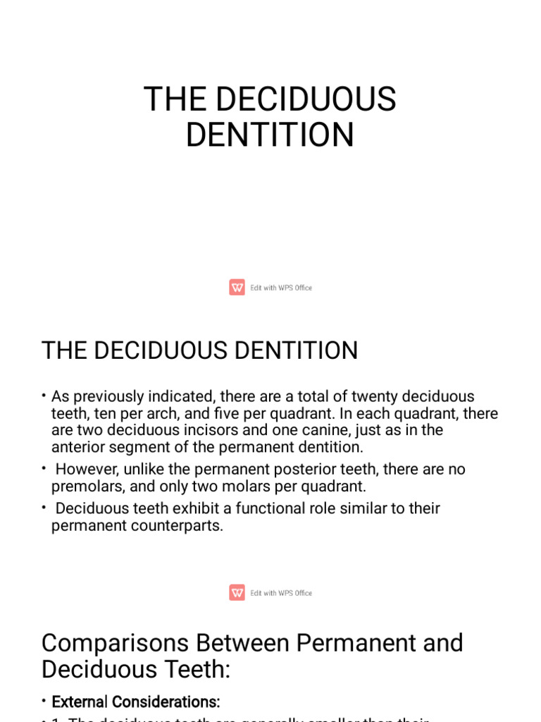 Deciduous Dentition Overview | PDF | Dental Anatomy | Tooth