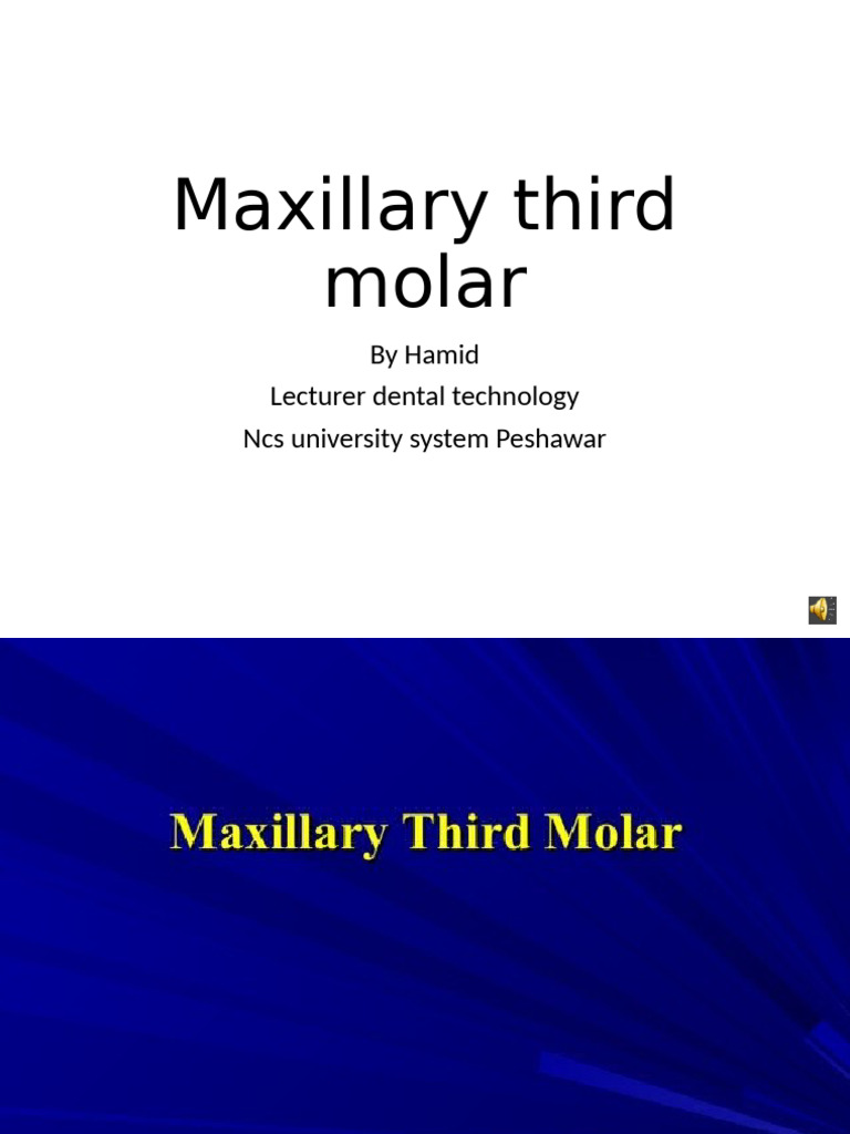 Maxillary Third Molar | PDF
