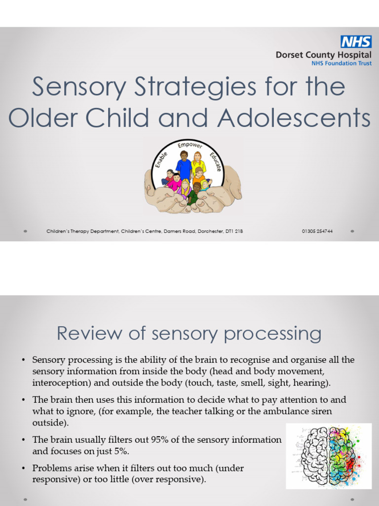 Sensory Strategies Adolescents | PDF | Balance (Ability) | Senses