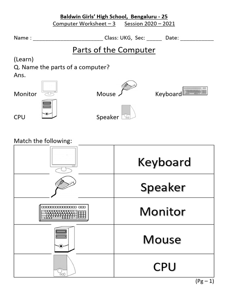Computer Worksheet3 21062020 | PDF