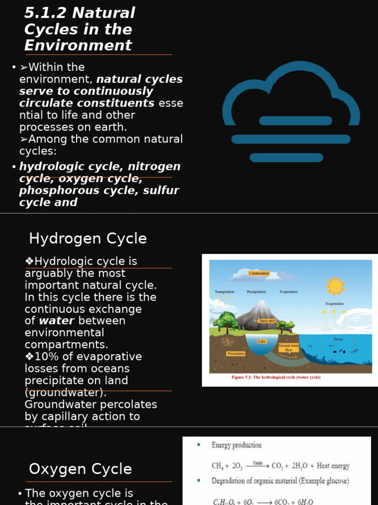 Key Natural Cycles in the Environment | PDF