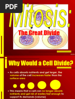Mitosis and The Cell Cycle - Cell Division - AQA - GCSE Biology (Single ...