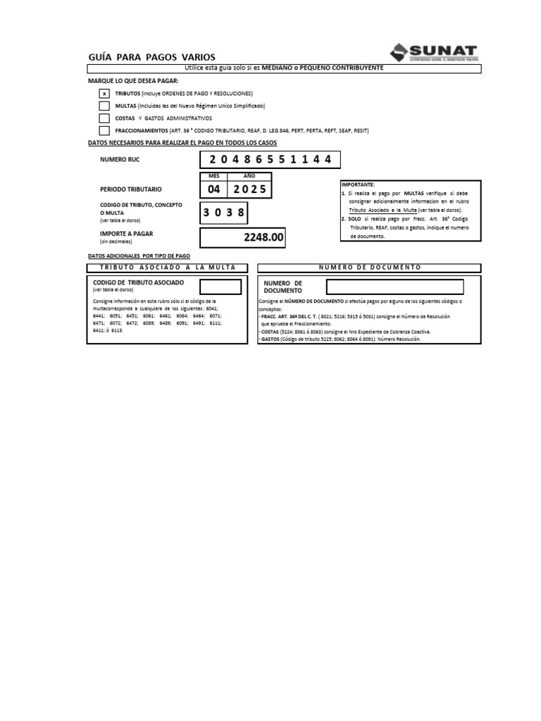Guia para Pagos Varios Itan Inv. Fehervic Eirl 2025 Abril Ok | PDF | Edades medias | Oligarquía