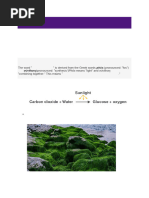 Photosynthesis Overview for Class 10 | PDF