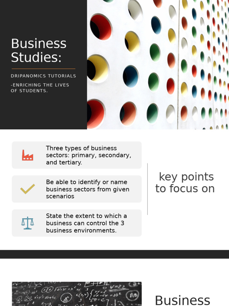 Understanding Business Sectors and Environments | PDF