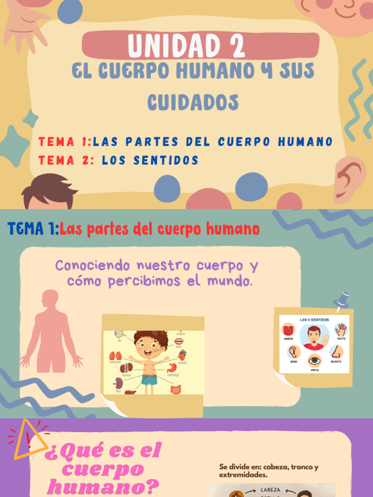 Partes del Cuerpo y Sentidos Humanos | PDF | Sentidos | Sistema nervioso