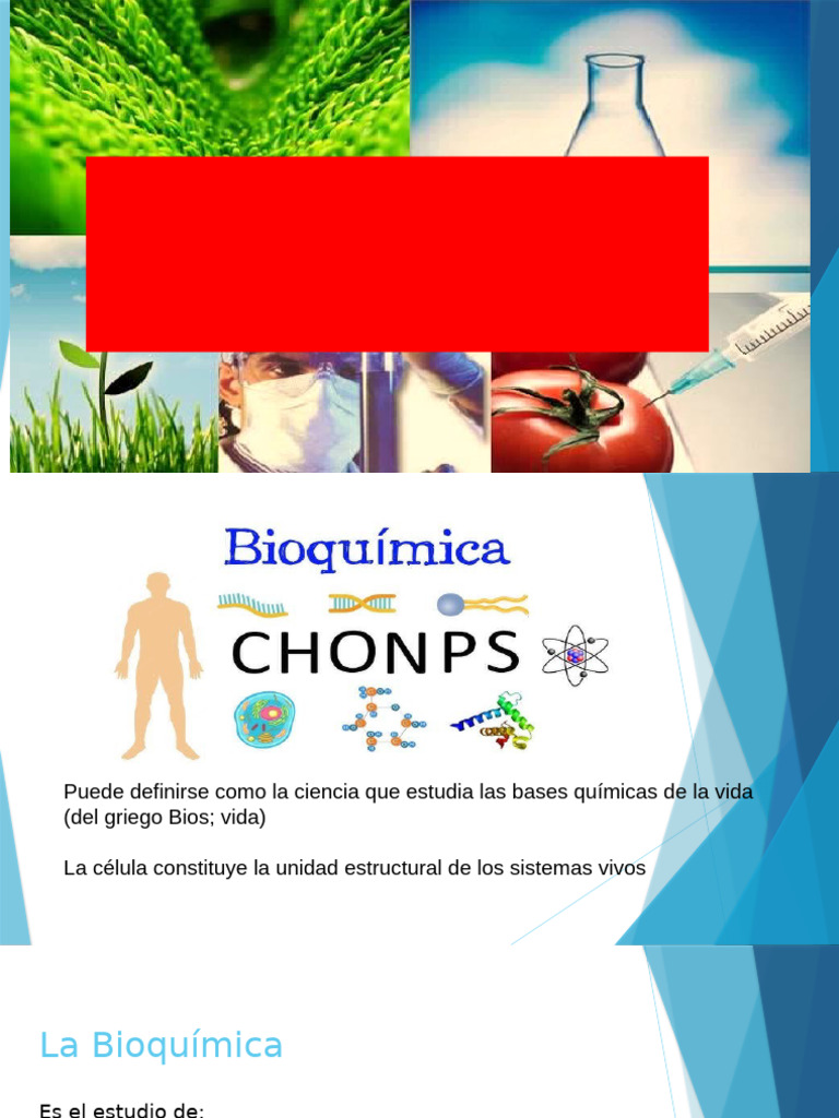 Introducción A La Bioquímica | PDF