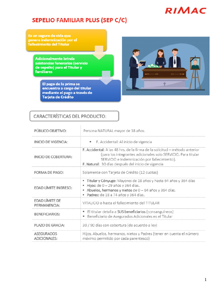 Rimac - Campus Virtual - Cursos | PDF