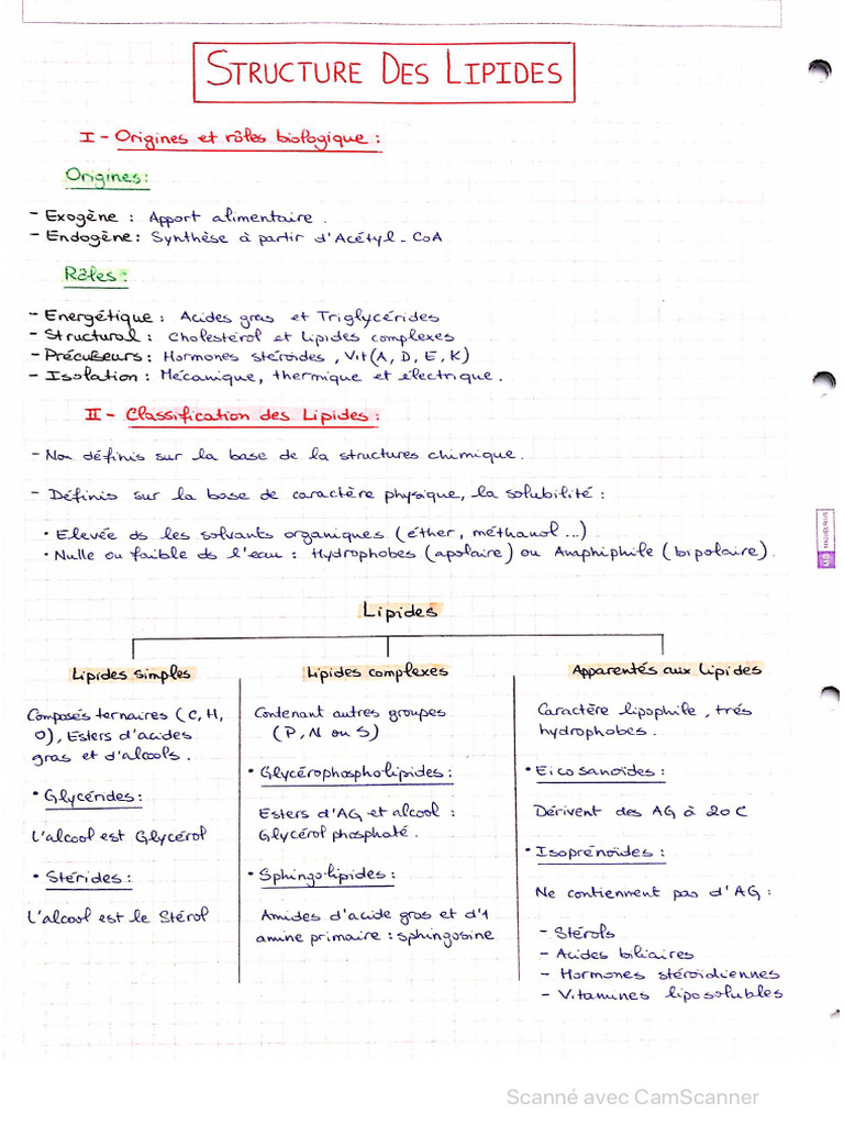 LIPIDES Structures & Meì Tabolisme | PDF