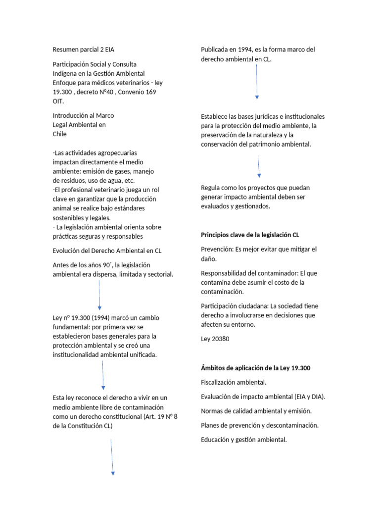 Resumen EIA | PDF | Evaluación de impacto ambiental | Ley del Medio Ambiente