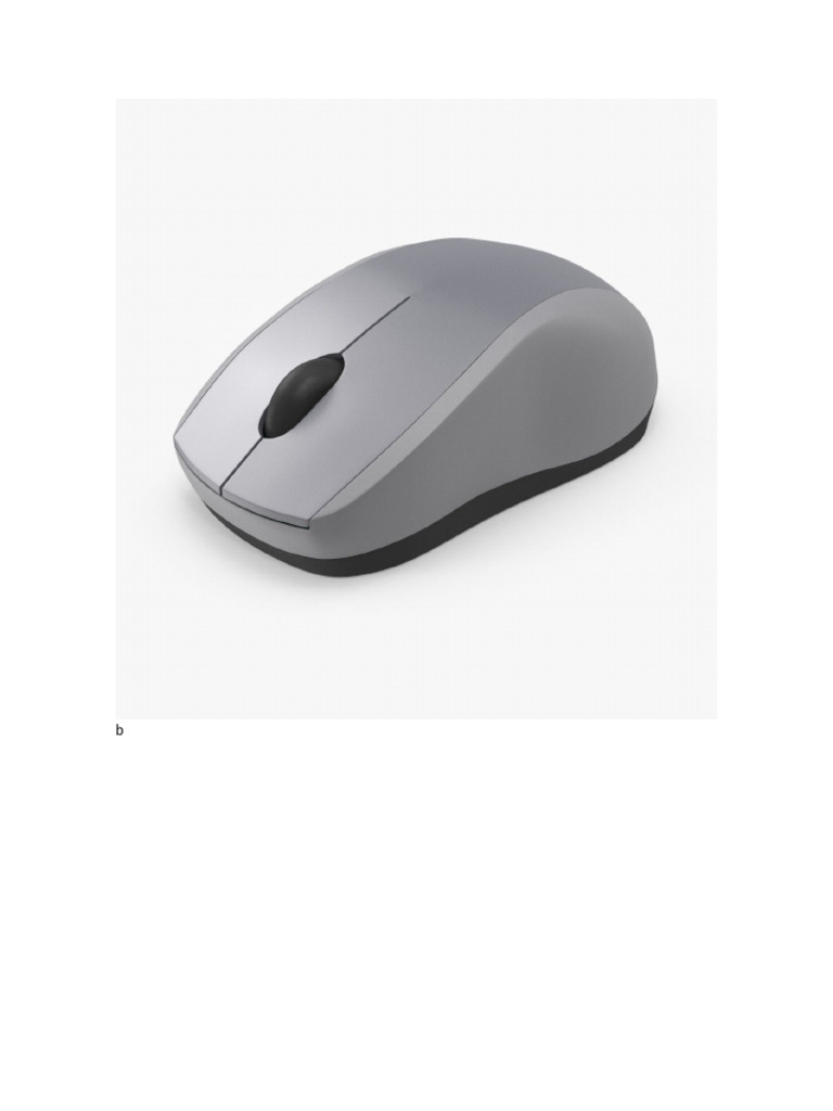 Mouse | PDF