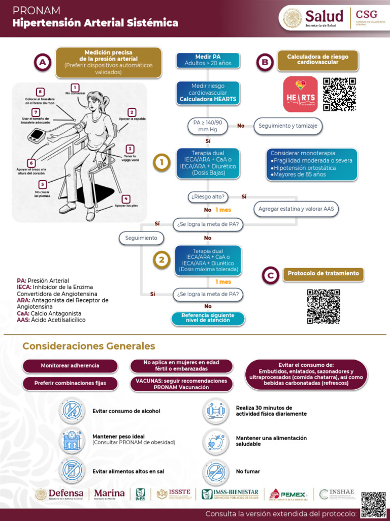 Anexo 8 Pronam Has Infografía | PDF | Presión sanguínea ...