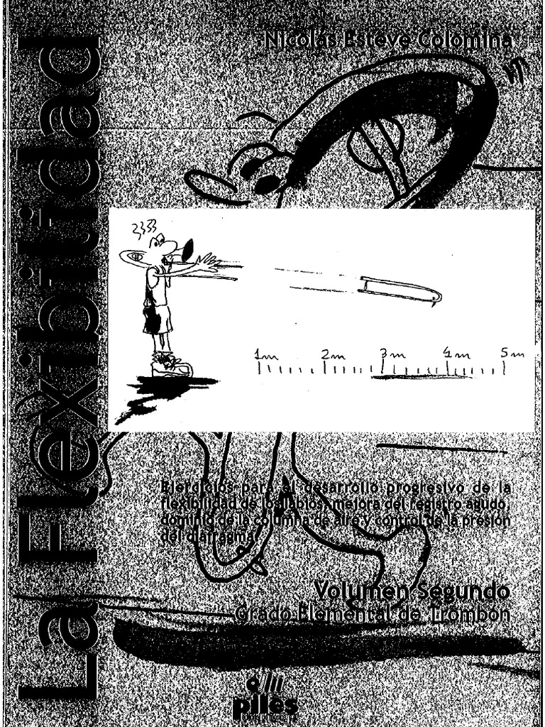 Flexibilidade Nicolas Esteve Colomina II | PDF